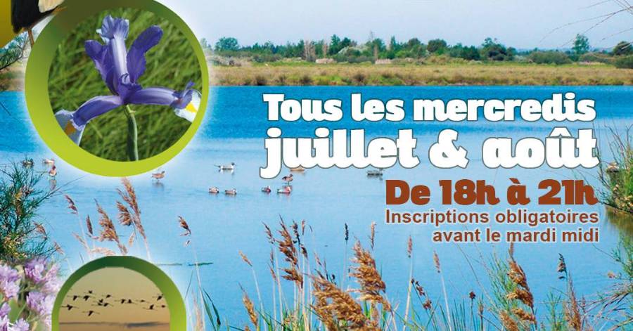 Portiragnes - Partez cet été à la découverte de la Grande Maïre ... Portiragnes - Partez cet été à la découverte de la Grande Maïre ...